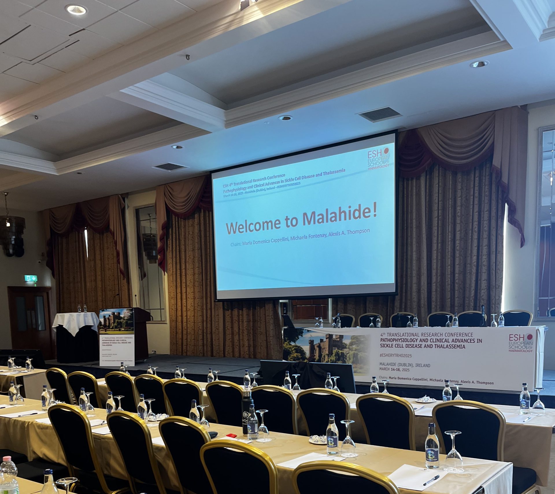 Reflections on the ESH Conference by Dr Liri Seraj: Advancing ...